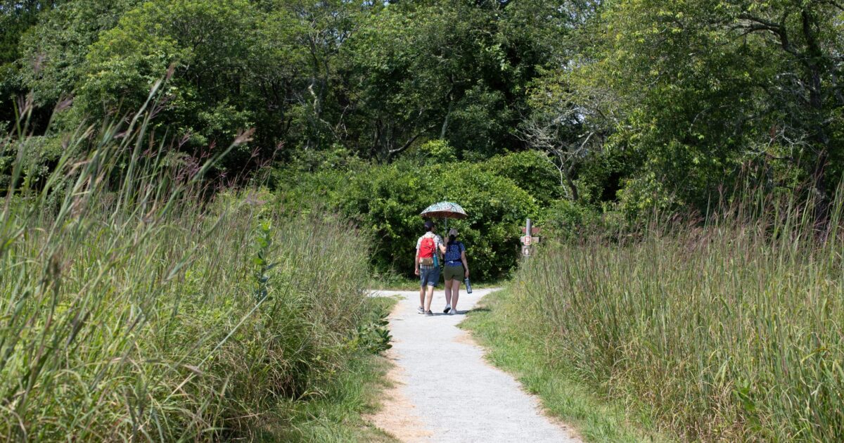 Introducing Tanager - Tanager Creative